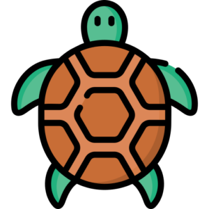 CSUK:Coder – CSUK's 'Learn to Code' Platform